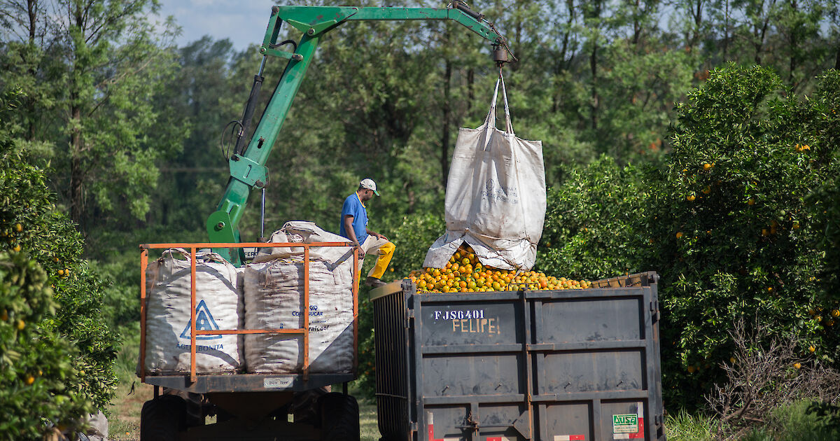 100% duurzame fruitteelt - FWS